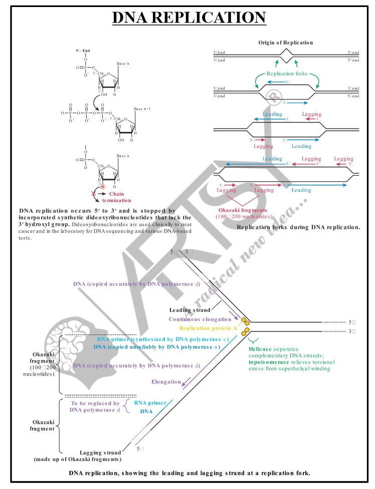 Bio Chemistry Chart