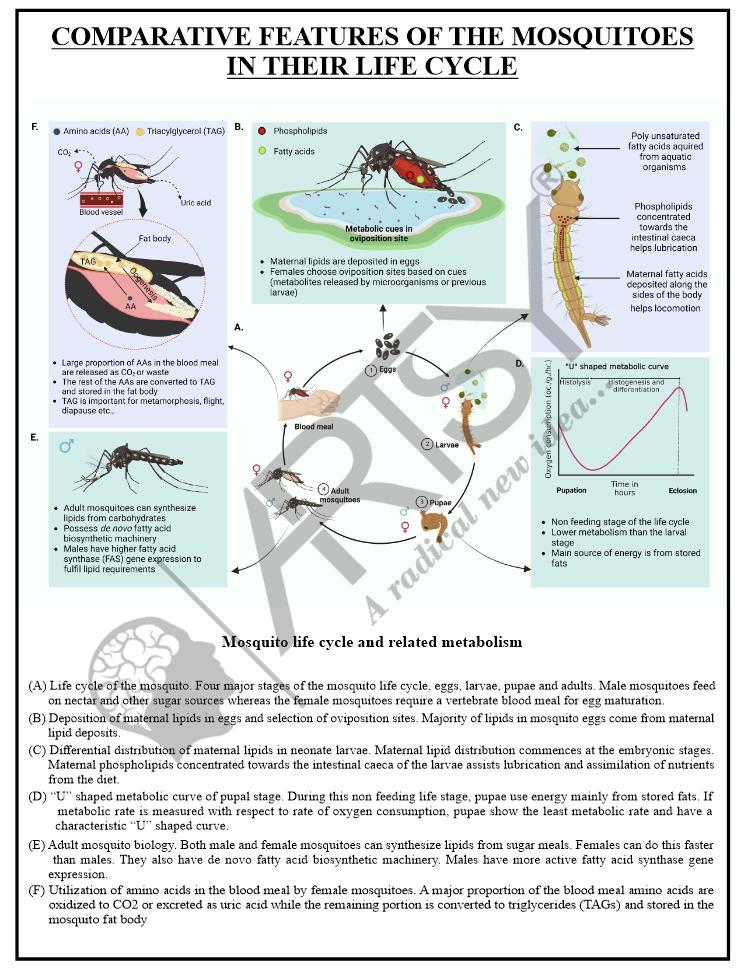 Microbiology Charts